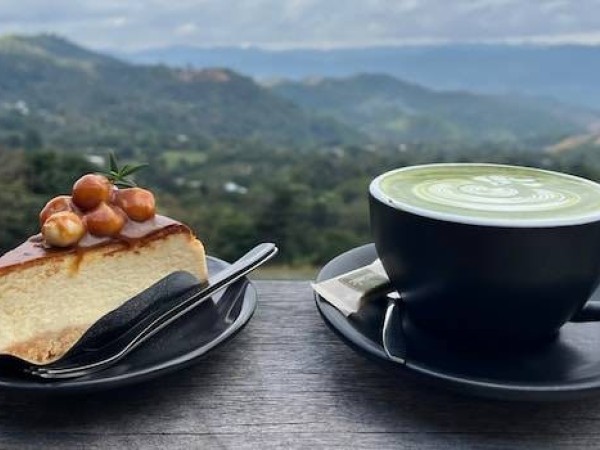 5 Iconic Bakeries You Must Visit In Shimla For A Sweet Indulgence - watsup